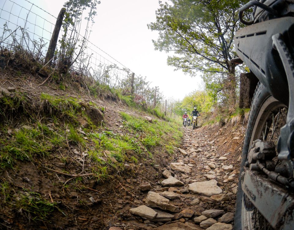 For Your Information - TRF Trail