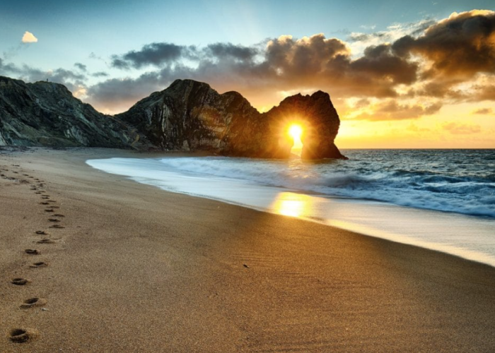 Events Diary - TRF Trail